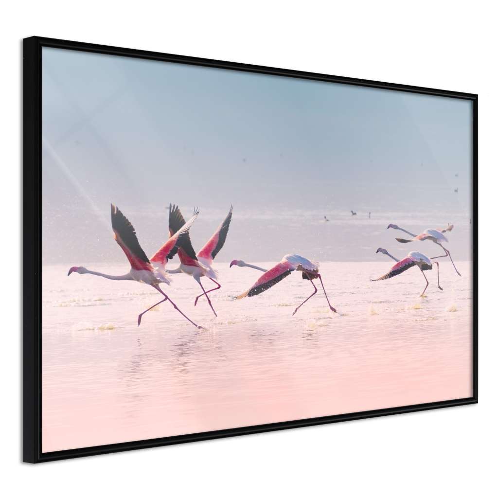 Poster Flamingos Breaking into a Flight 90x60 | Koreqt.hr