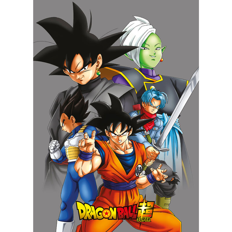 Dragon Ball deka 100x140