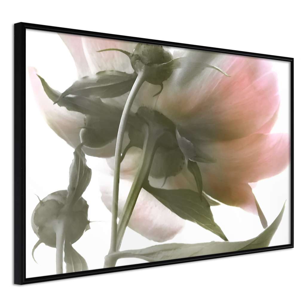 Poster Under the Flower 90x60 | Koreqt.hr