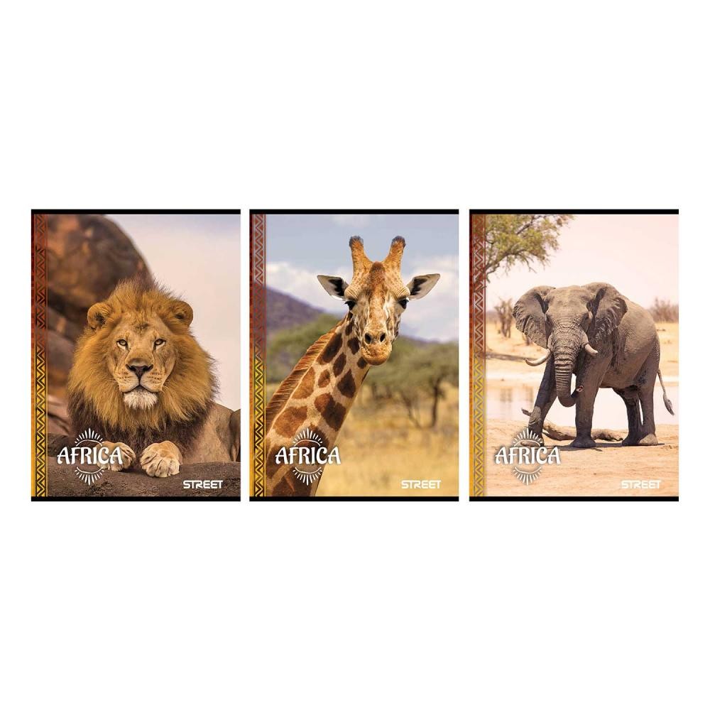 STREET Bilježnica Young A4, karo 5 mm | Koreqt.hr